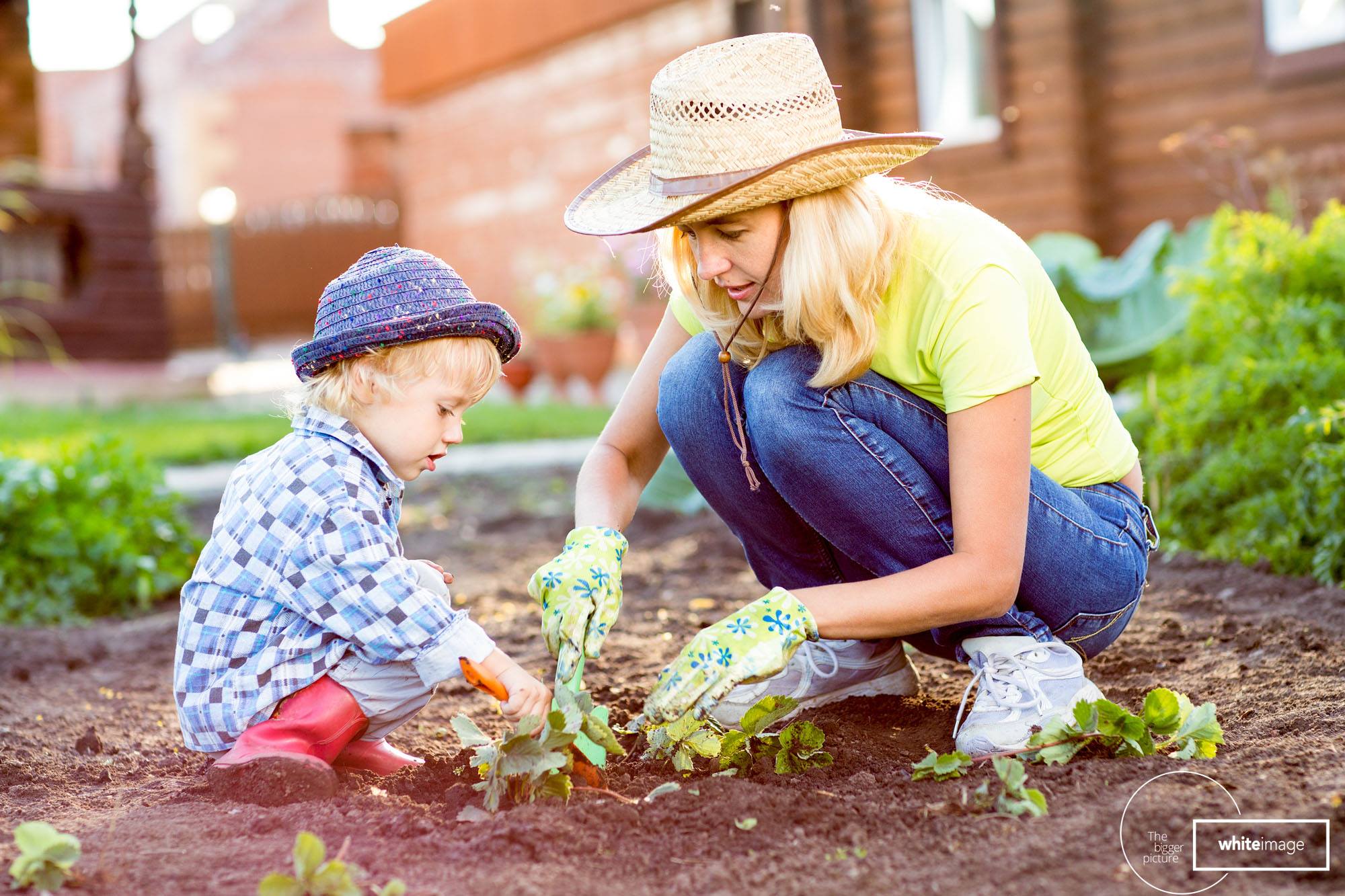 Cresterea bazei de date e precum gradinaritul - White Image